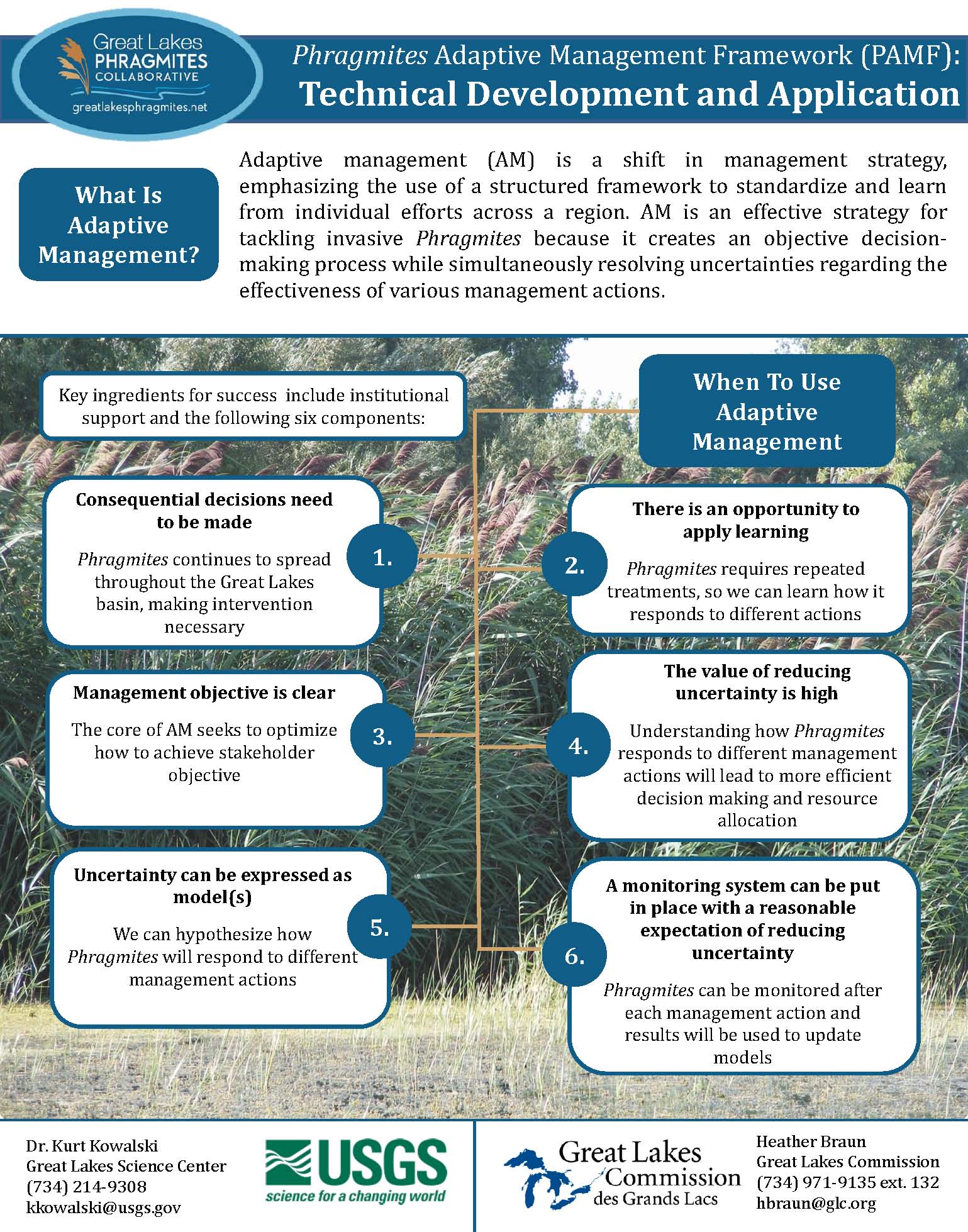 About PAMF | Great Lakes Phragmites Collaborative