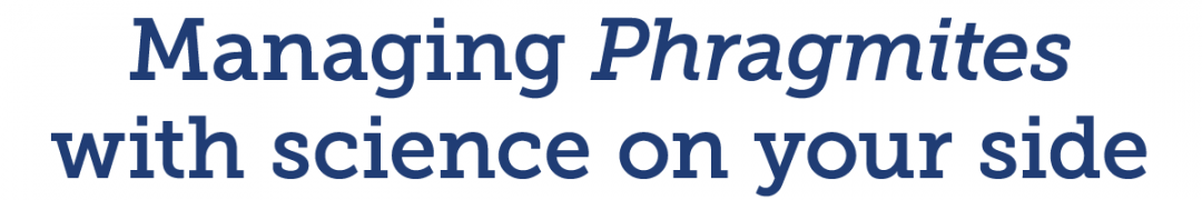 Join PAMF | Great Lakes Phragmites Collaborative