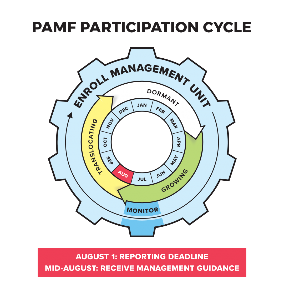 Join PAMF | Great Lakes Phragmites Collaborative