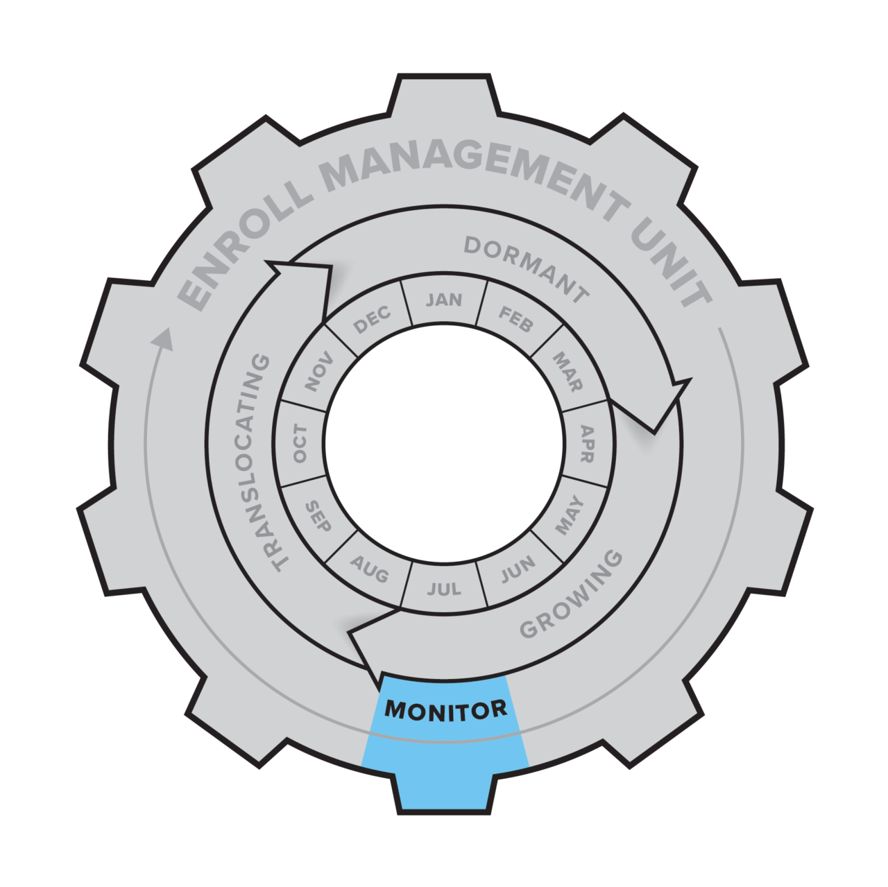 Phragmites Adaptive Management Framework (PAMF): Landing Page | Great ...