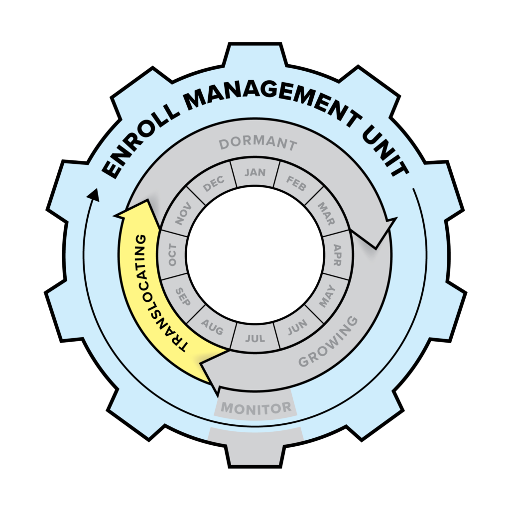 Phragmites Adaptive Management Framework (PAMF): Landing Page | Great ...
