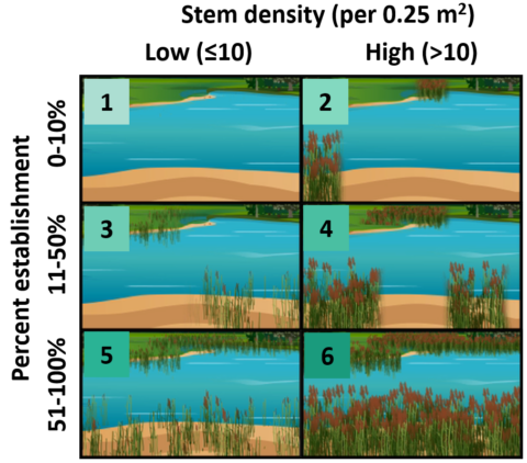 2023/2024 Improvements to PAMF Management Guidance – Now with Less Rest ...